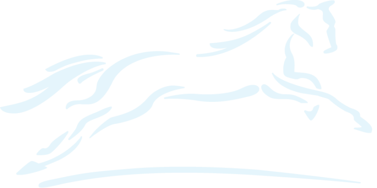 Appaloosa Horse Club Returns to Oklahoma City for Their 75th National ...